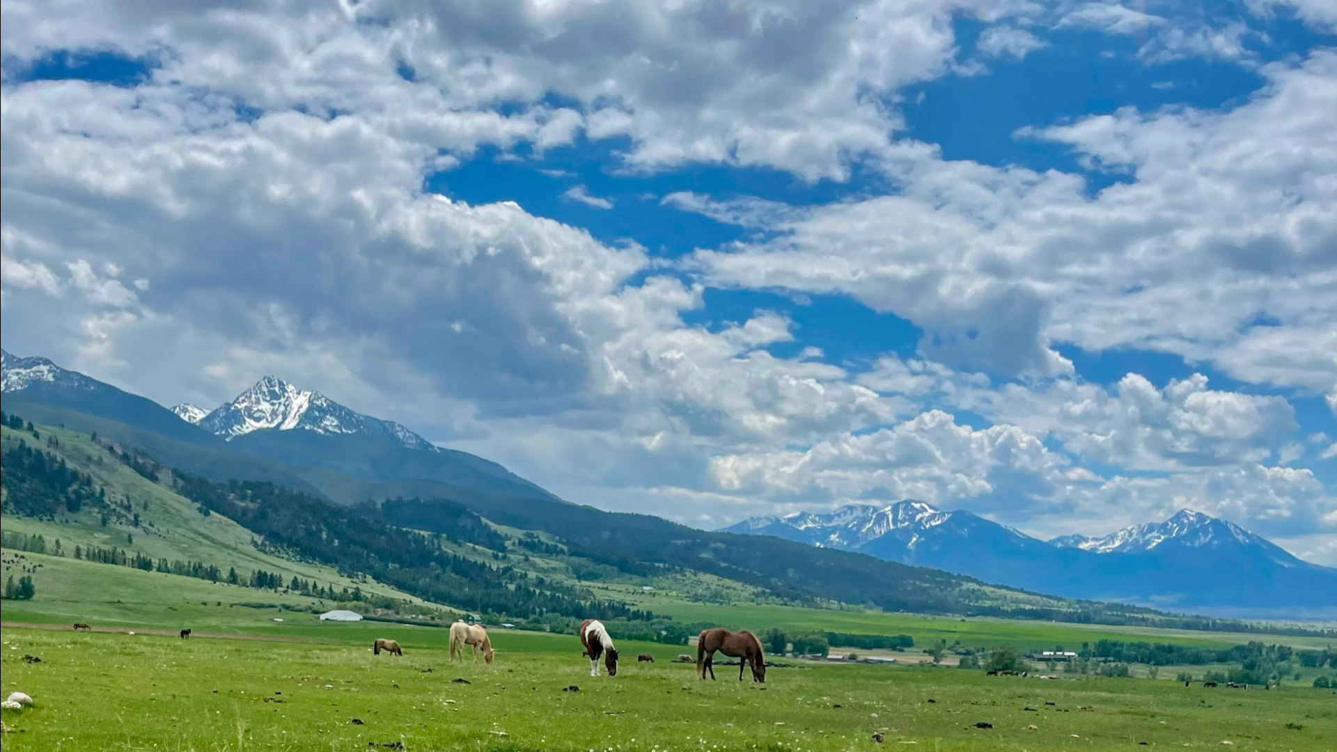 Rightworks OneSpace Firm Premier Portal