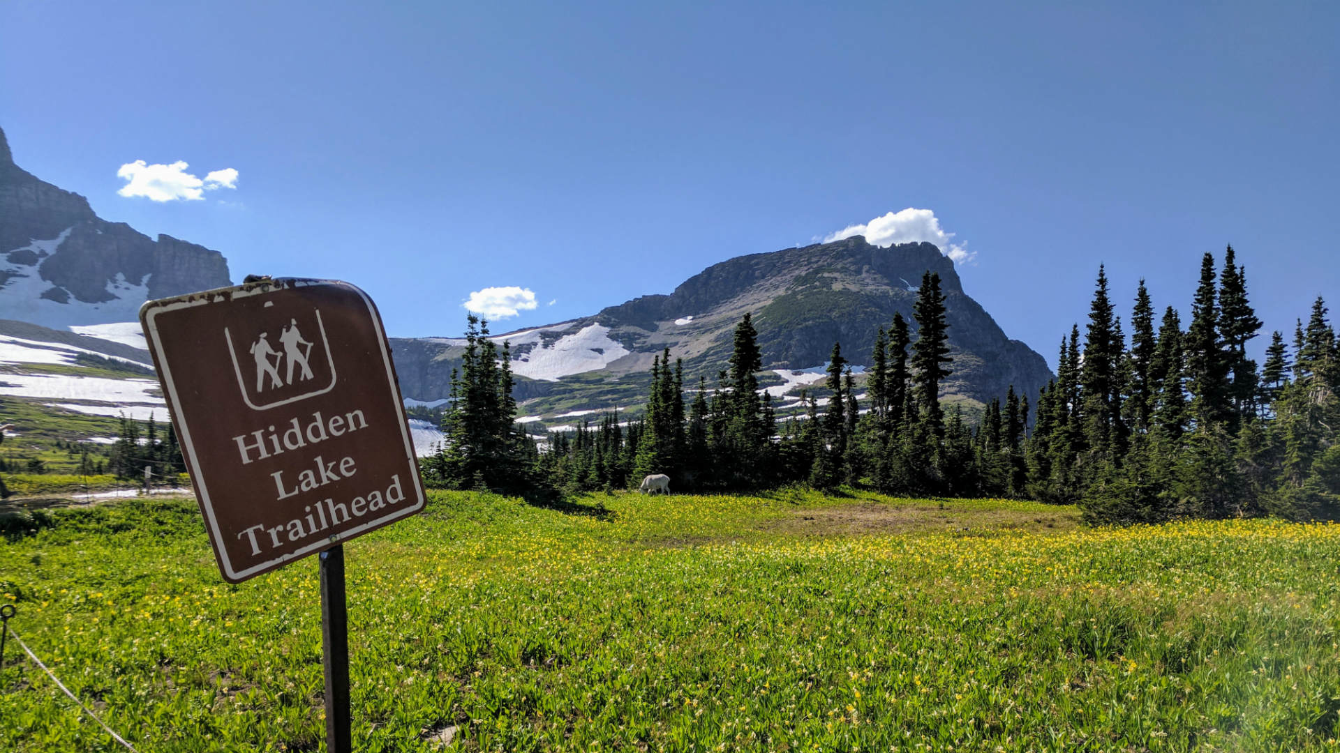 Rightworks OneSpace Firm Premier Portal