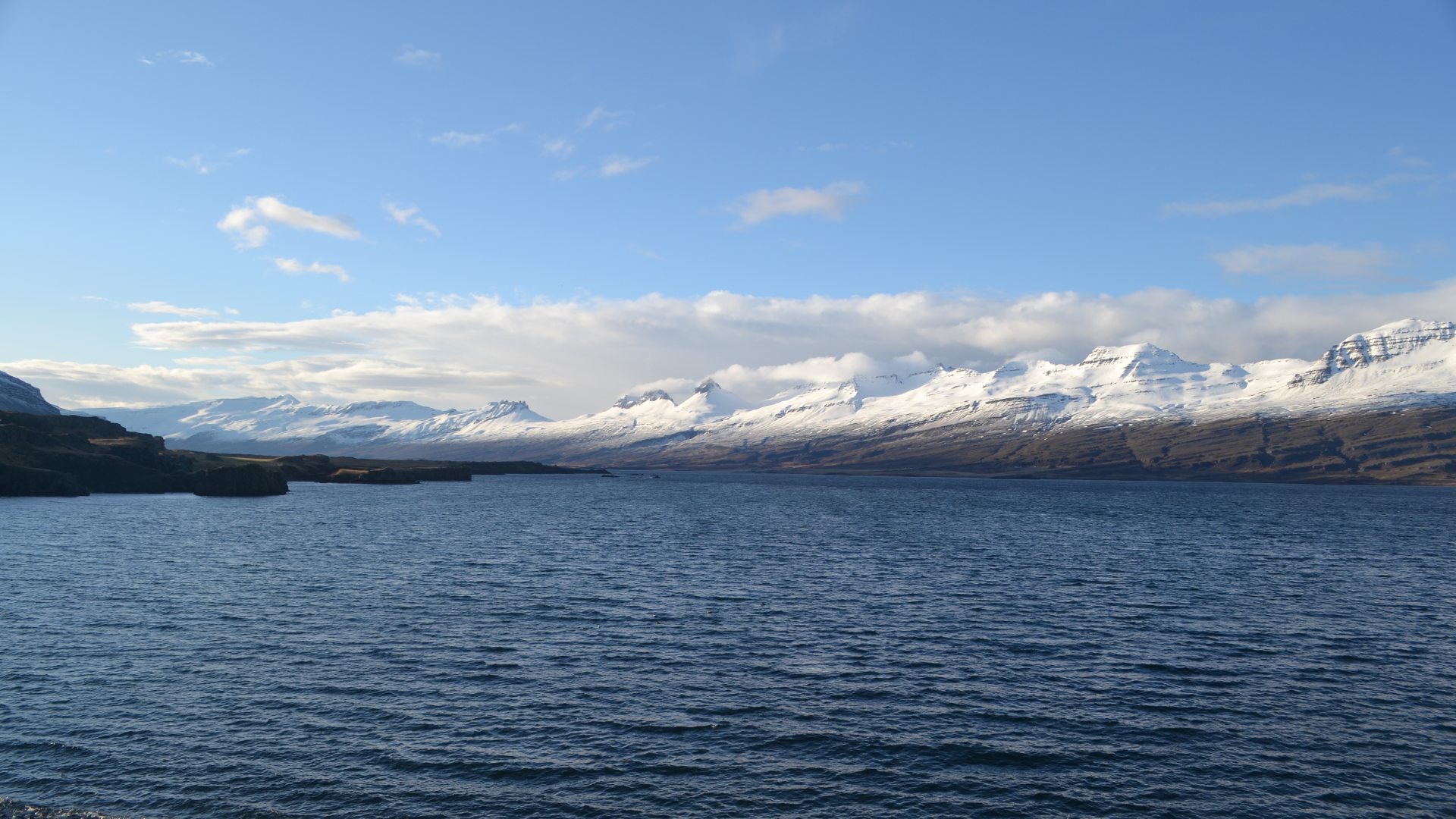 Rightworks OneSpace Firm Premier Portal