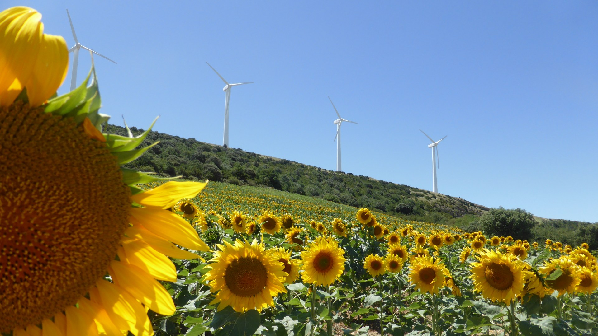 Rightworks OneSpace Firm Premier Portal