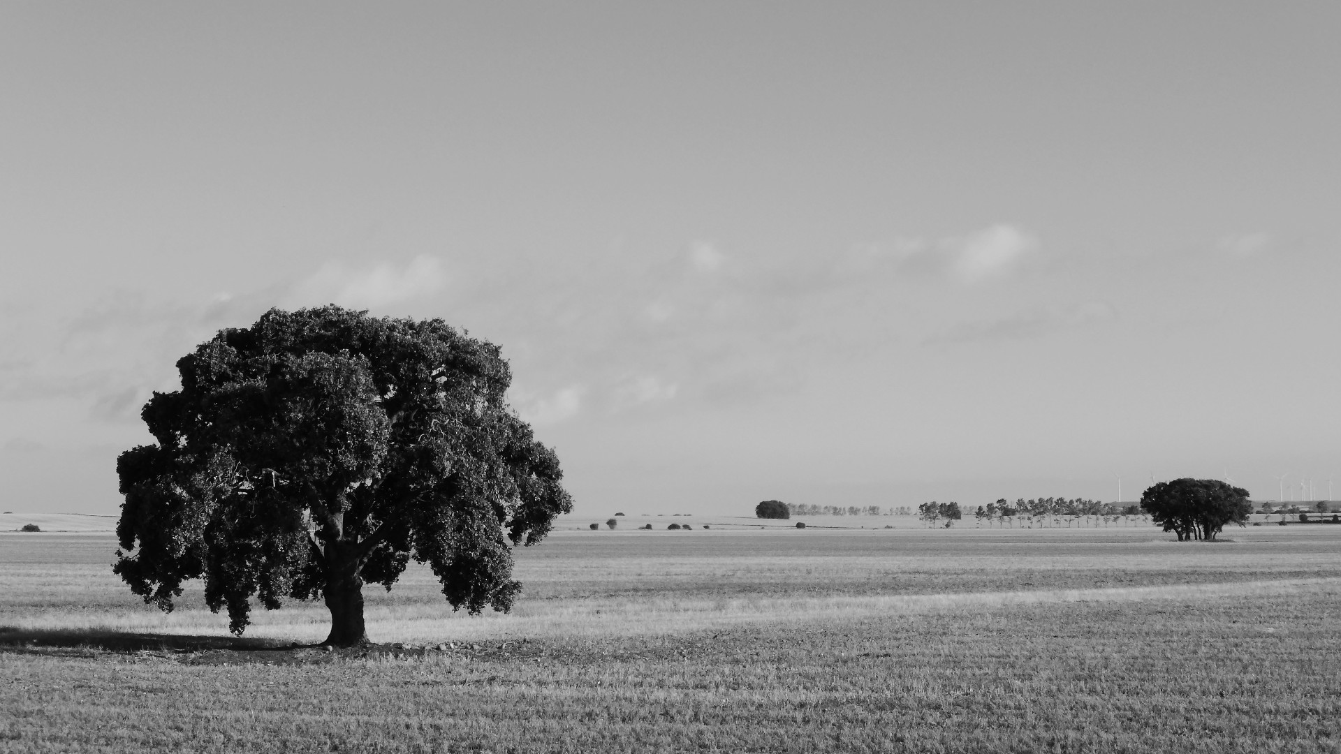 Rightworks OneSpace Firm Premier Portal